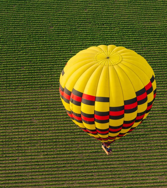 AXA Investment Managers | AXA IM Corporate