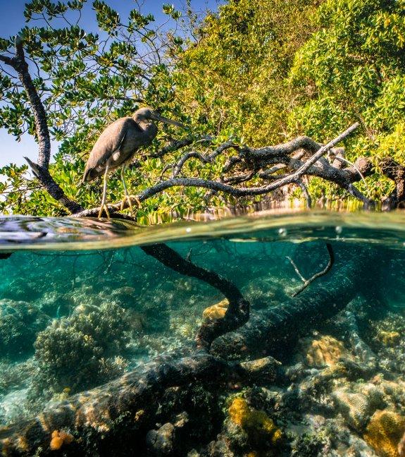 AXA Investment Managers | AXA IM Corporate