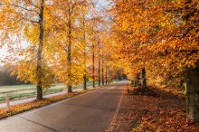 Shaken, not stirred | AXA IM Corporate